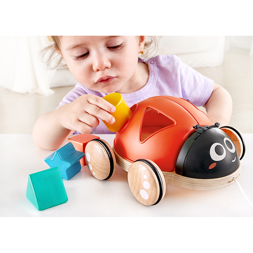 SHAPE-SORTER LADYBUG - HAPE - Playwell Canada Toy Distributor