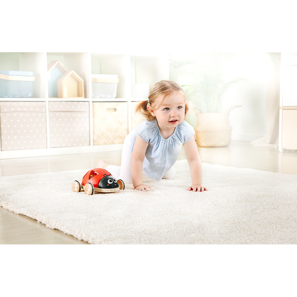 SHAPE-SORTER LADYBUG - HAPE - Playwell Canada Toy Distributor