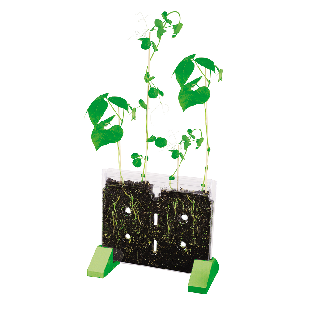 SPROUT & GROW WINDOW - EDUCATIONAL INSIGHTS - Playwell Canada Toy ...