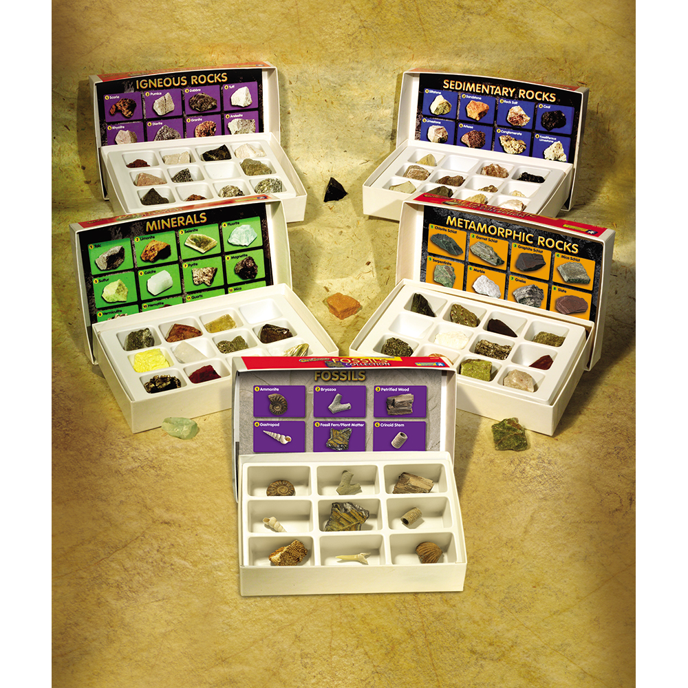 COMPLETE ROCK & FOSSIL COLLECTION - EDUCATIONAL INSIGHTS - Playwell ...