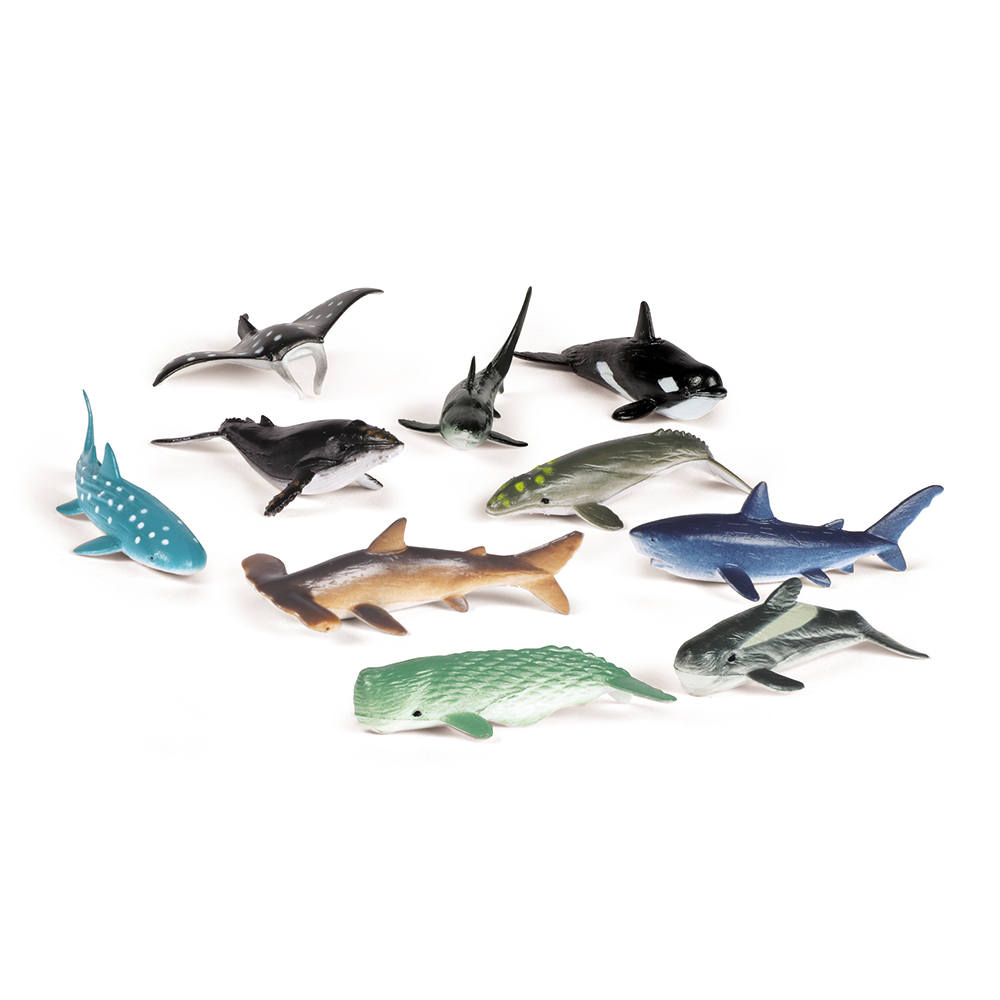 OCEAN CREATURES - LEARNING RESOURCES - Playwell Canada Toy Distributor
